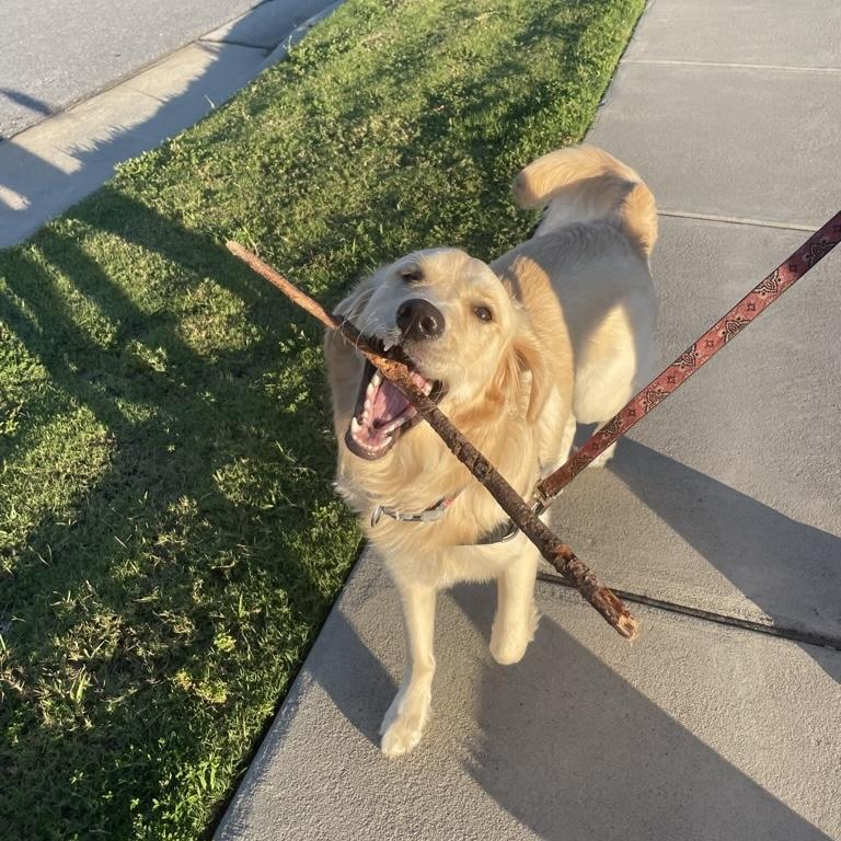 "Ryder" Release Notes | Sites@Duke Pro